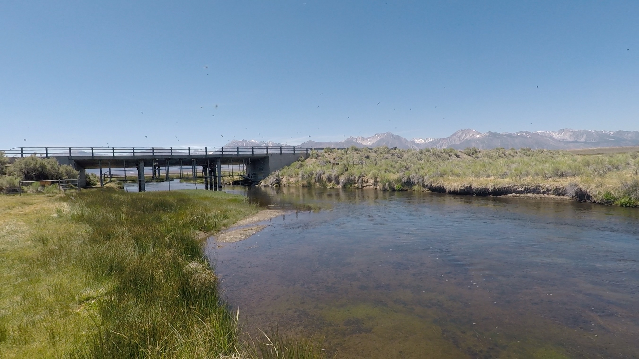 Camping and exploring near Mammoth Lake, CA – Working on Exploring